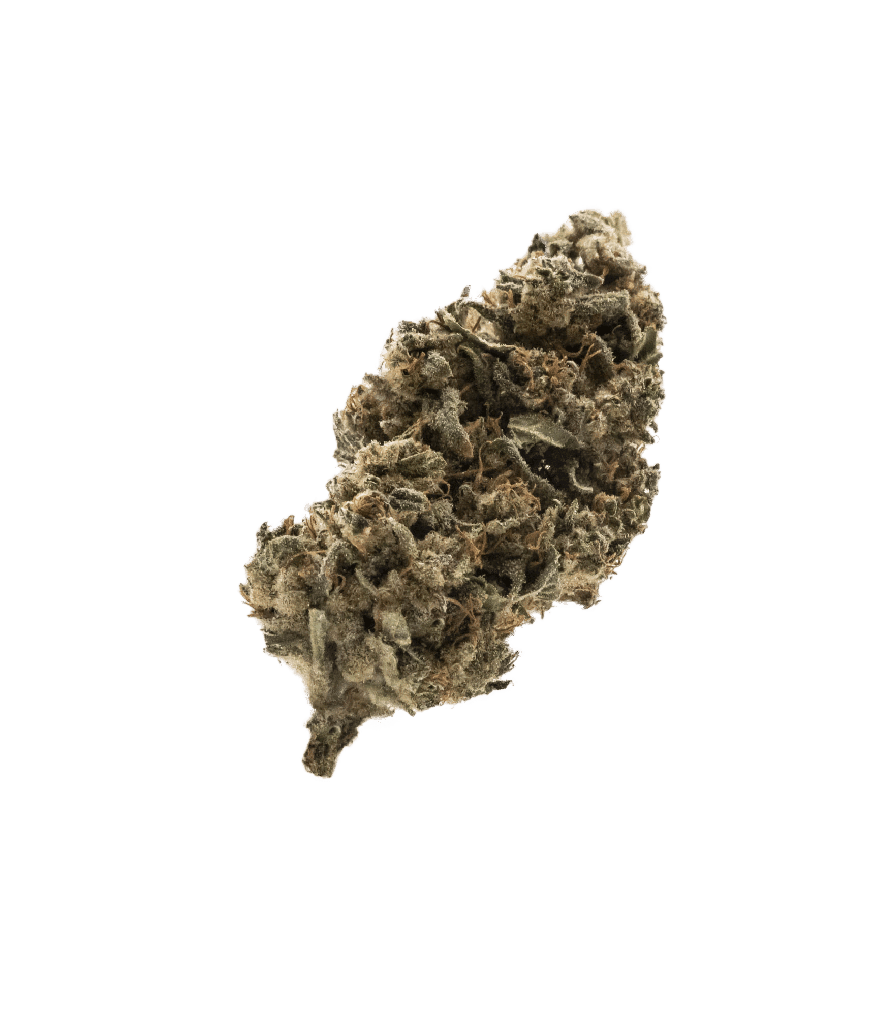 Coastal Sage (Zeta Sage x Sour Diesel) by FIGR | Mendo