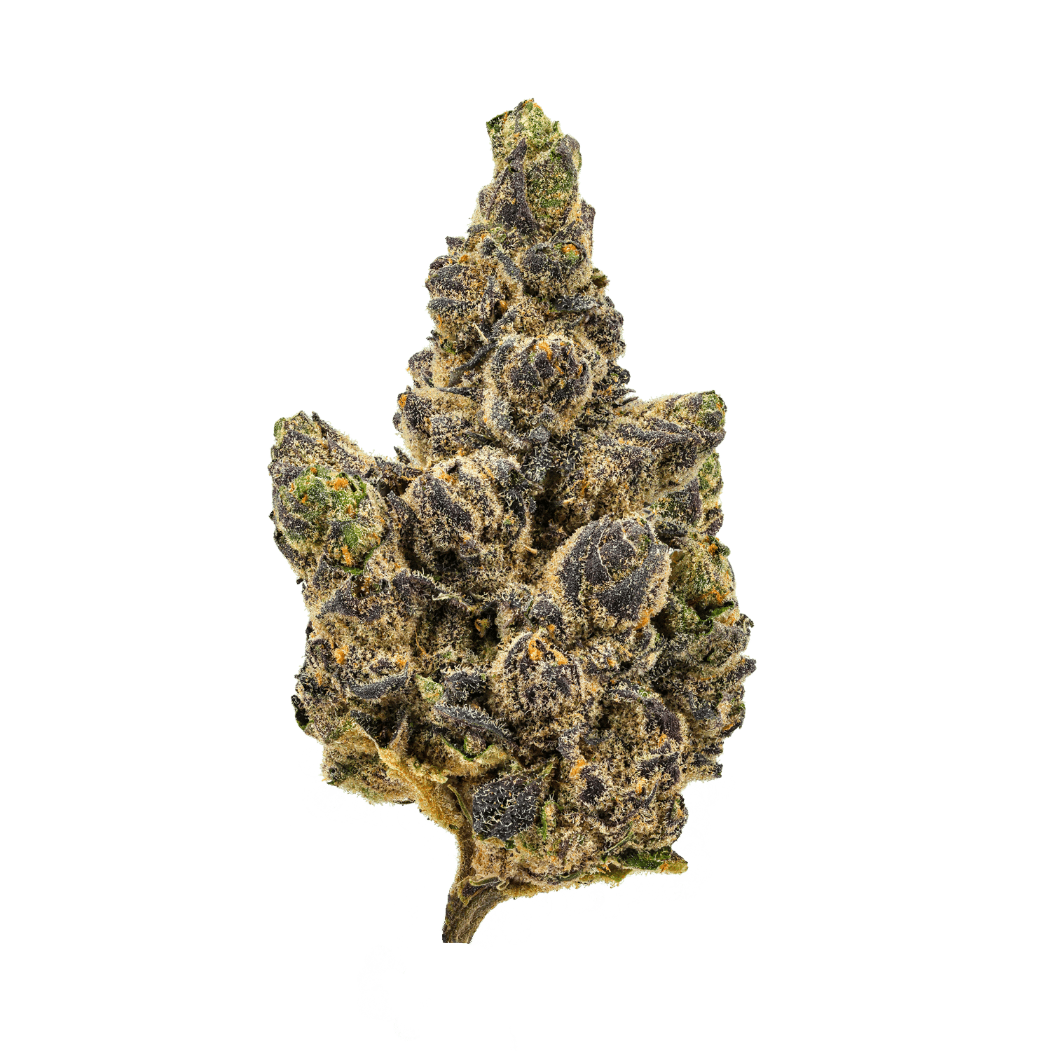 Lemonatti by Cheers Cannabis | Mendo