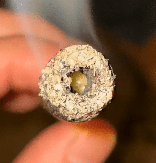 Buy Apple Fritter + Strawberry Cough Infused Hash Hole Pre-Roll by Jellee