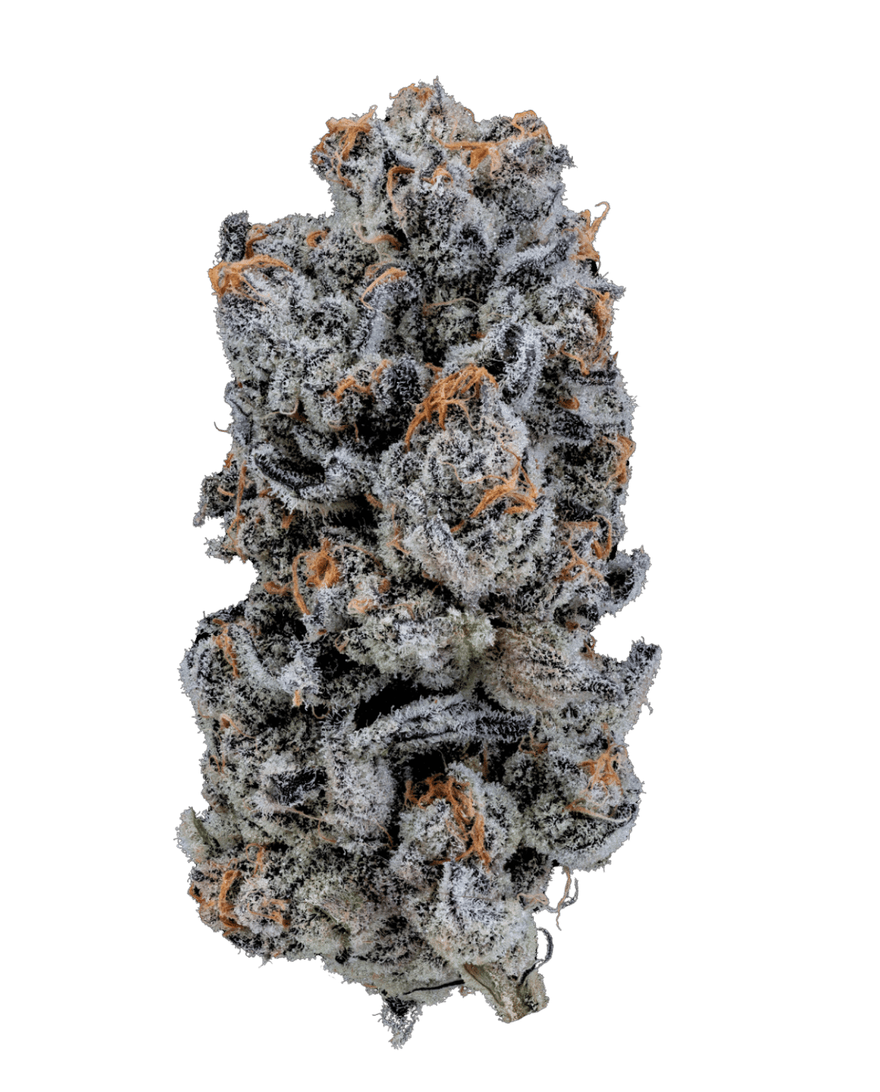Canada’s Curated Medical Cannabis Marketplace | Mendo